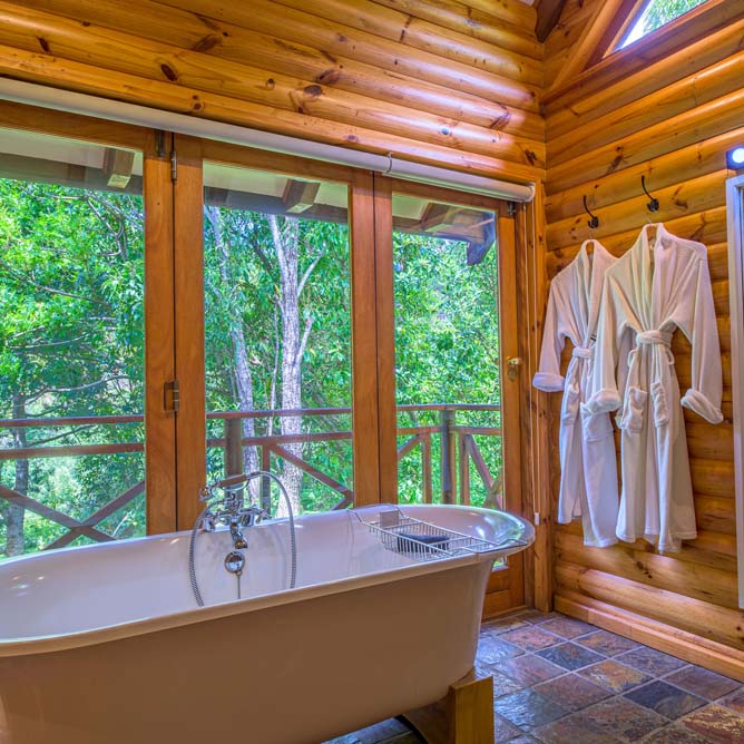 Chalet B&B with view - The Fernery Lodge & Spa