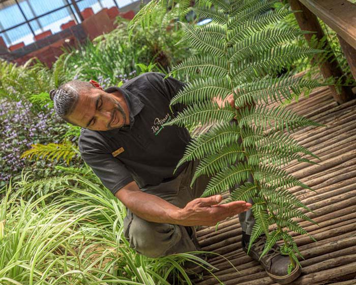 Recommended Activities in the Tsitsikamma Area - The Fernery Lodge & Spa