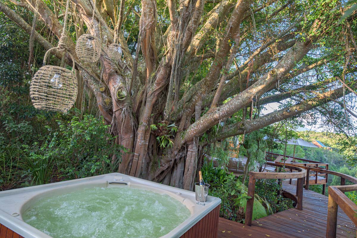 The Forest Fern Wellness Spa - The Fernery Lodge & Spa