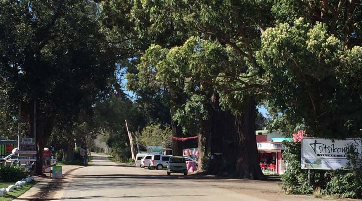 Tsitsikamma - Mountains, forest, ocean & adventure - The Fernery Lodge ...